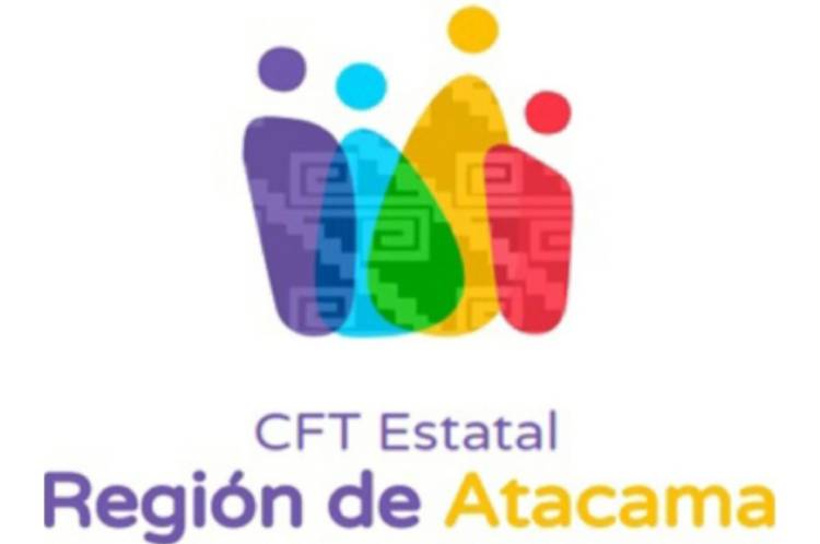 Diputada Cicardini solicita fiscalizar CFT de Chañaral ante demandas de ...