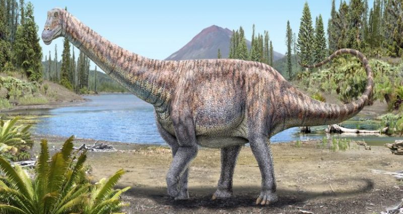 Arackar licanantay, nuevo dinosaurio descubierto en Atacama – Atacama ...