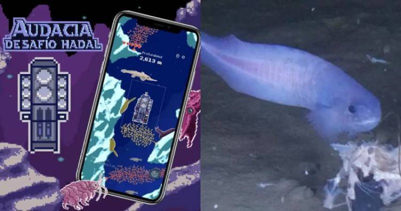 Lanzan videojuego “Audacia: Desafío Hadal”, sobre la misteriosa Fosa de ...