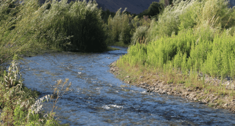 Seremi del Medio Ambiente en Atacama conmemora el Día Mundial del Agua ...